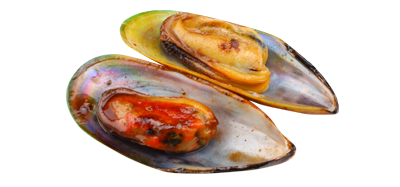 YUMINI - Japanese Sushi & Grill